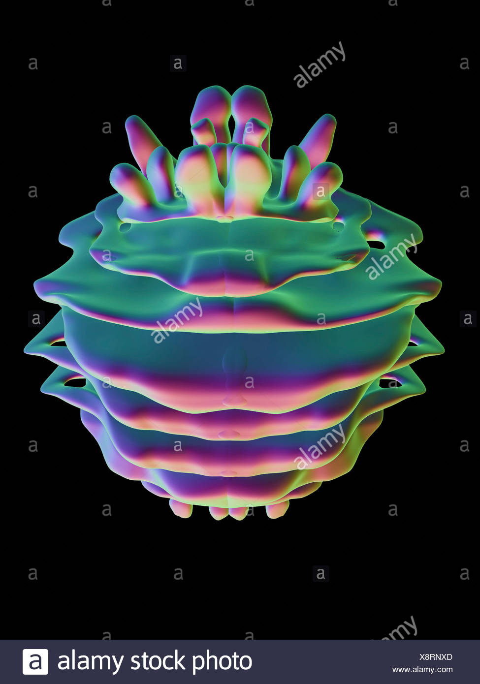 Golgi Apparatus Stockfotos & Golgi Apparatus Bilder - Alamy