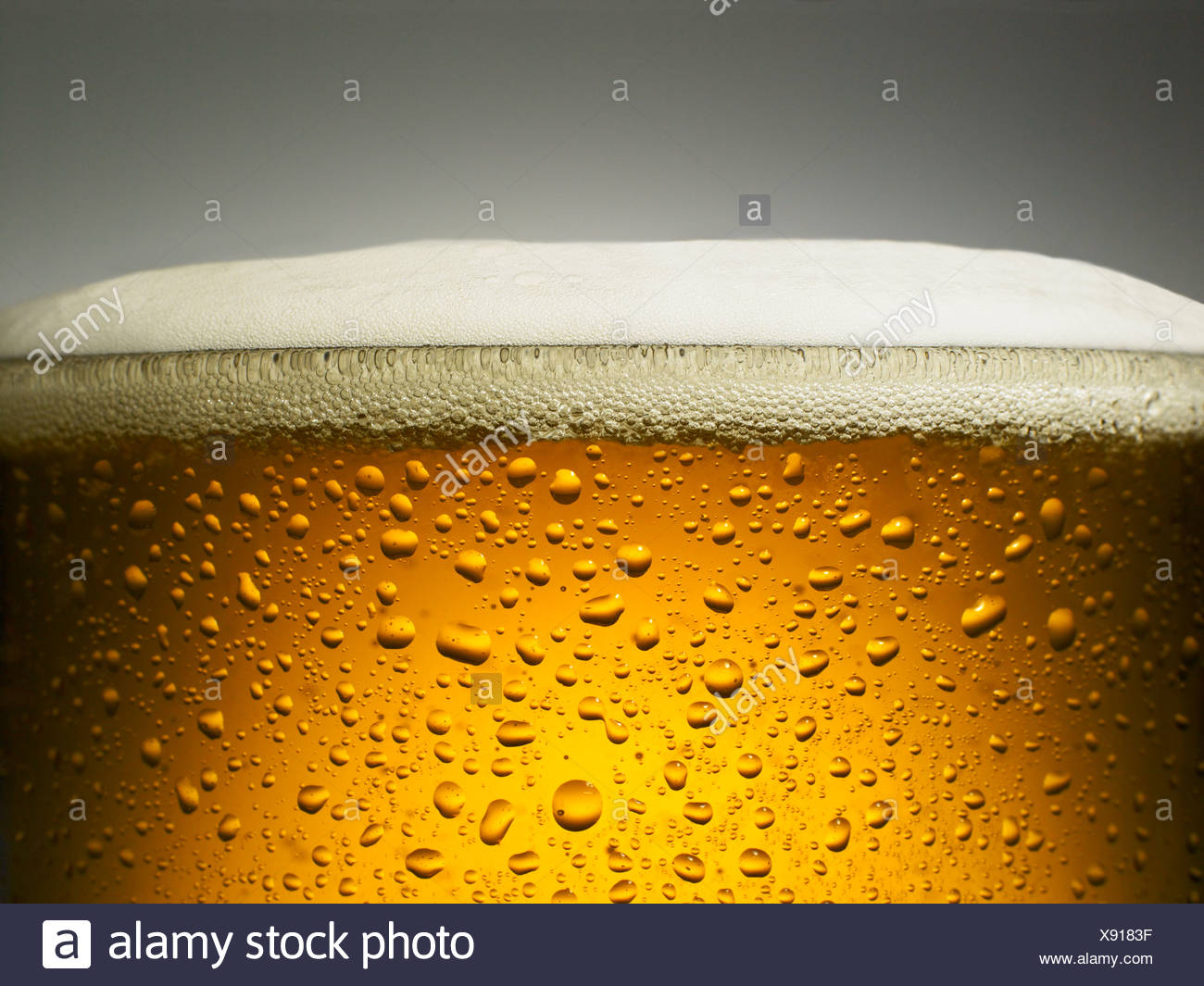 Bier Glas Stockfotos und -bilder Kaufen - Alamy