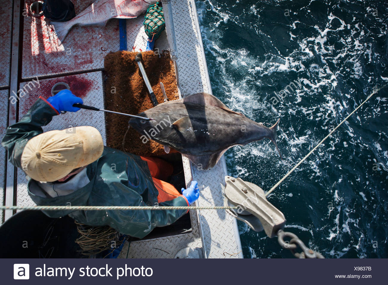Commercial Longline Fishing Pacific Ocean Stockfotos und -bilder Kaufen ...