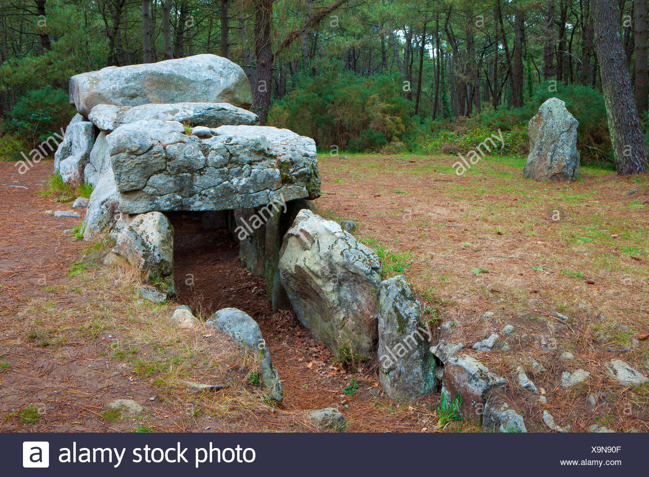 Megalith Menhir Stockfotos & Megalith Menhir Bilder - Alamy