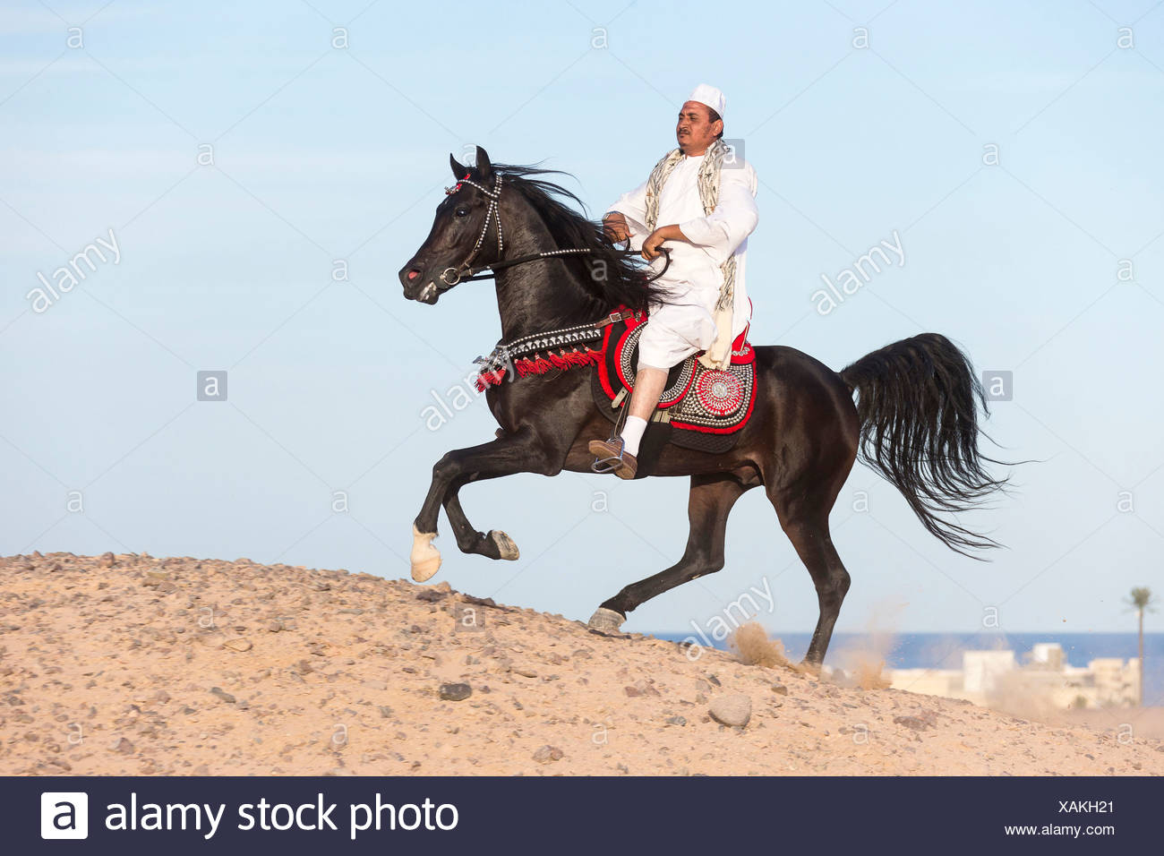Arab Horse Rider In Traditional Stockfotos & Arab Horse Rider In ...