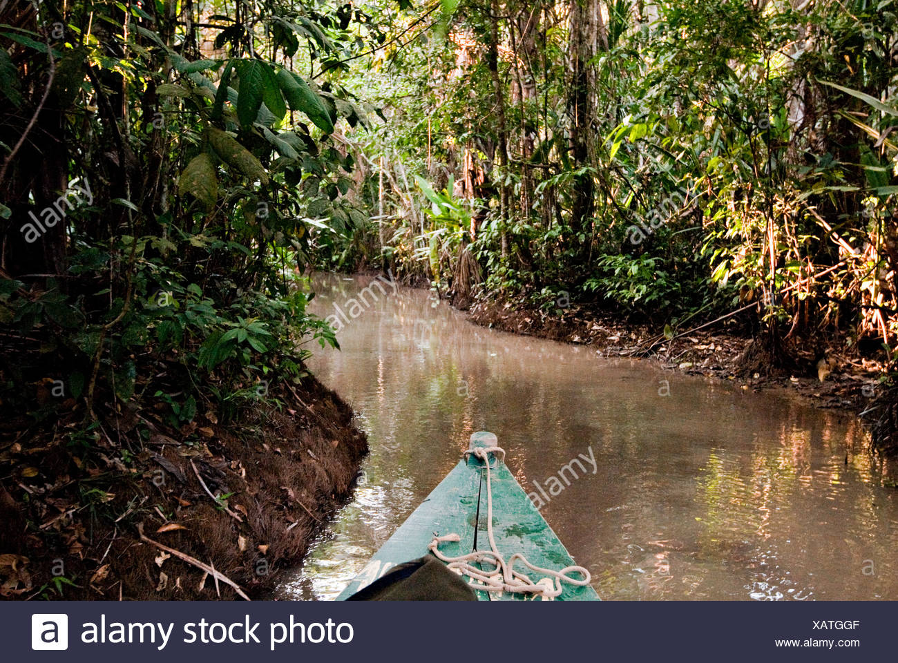 Peruanischer Amazonas Regenwald Stockfotos und -bilder Kaufen - Alamy