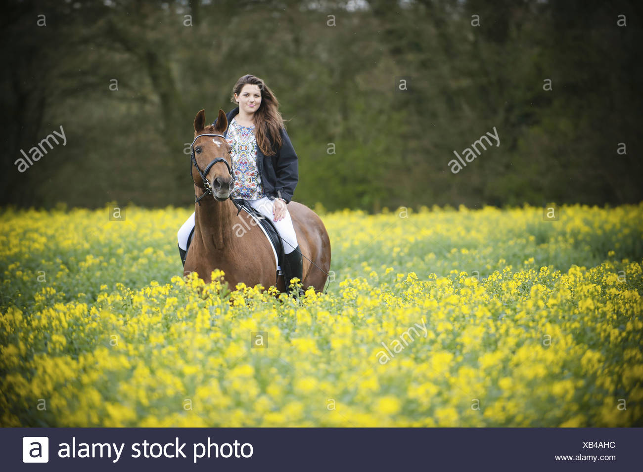 All Horse Riding Stockfotos und -bilder Kaufen - Alamy