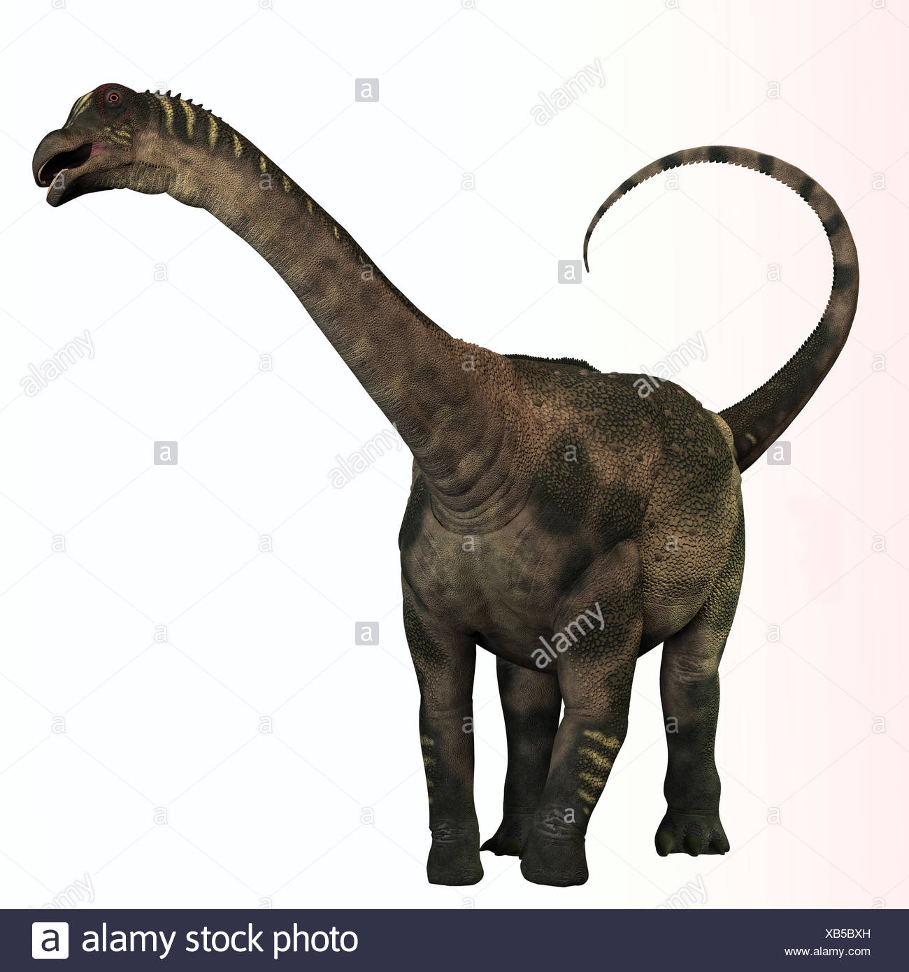Antarctsaurus Wichmannianus Stockfotos & Antarctsaurus Wichmannianus ...