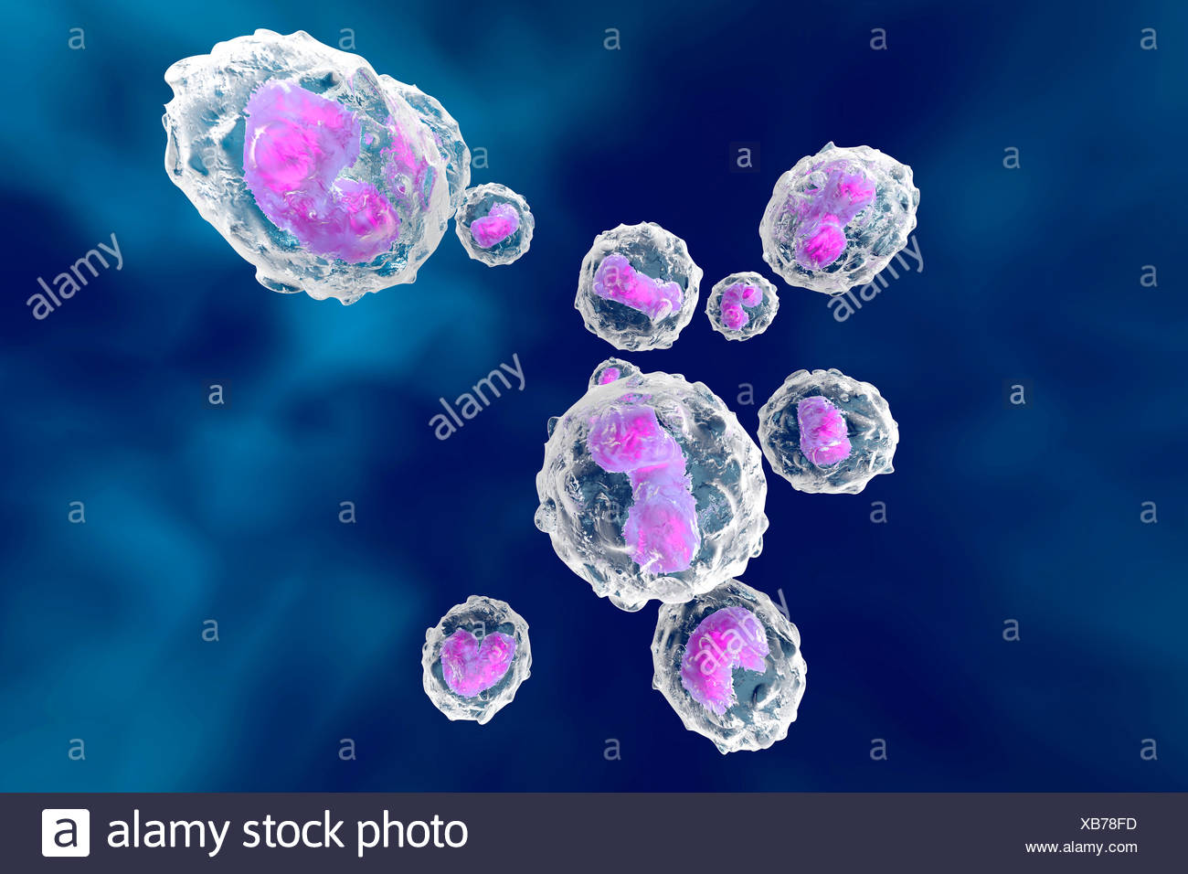 Immune System Illustration Stockfotos & Immune System Illustration ...