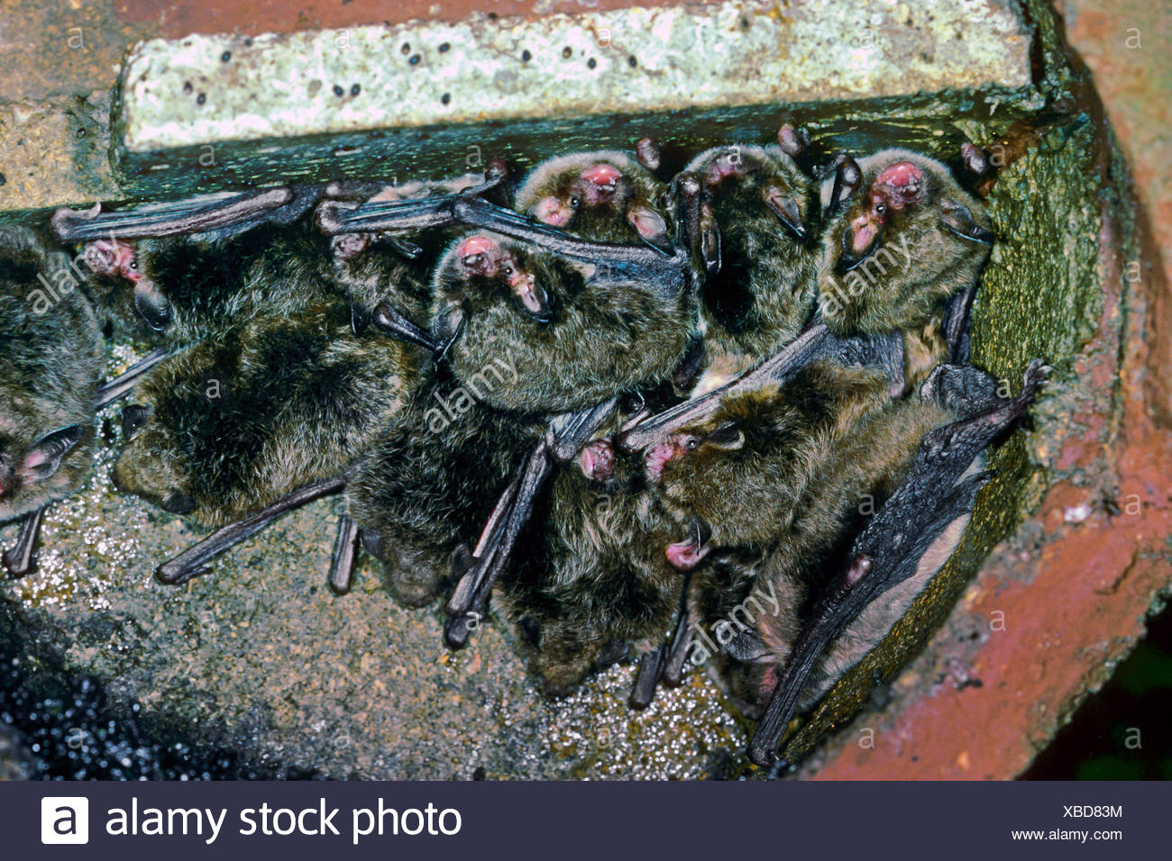 Heiko Wasser Stockfotos und -bilder Kaufen - Alamy