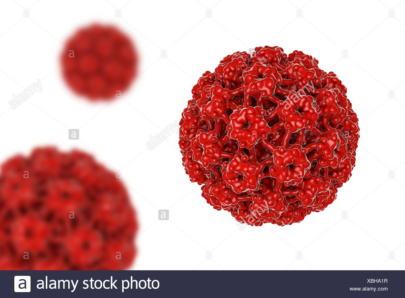 Human Papilloma Virus Hpv Stockfotos und -bilder Kaufen - Alamy