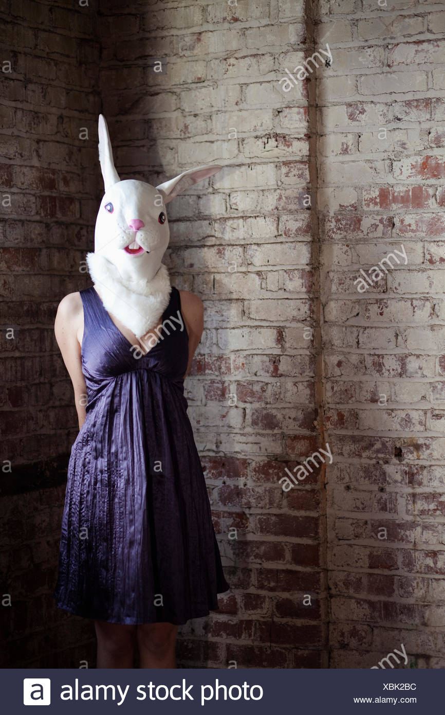 Weißer Hase Stockfotos & Weißer Hase Bilder - Alamy