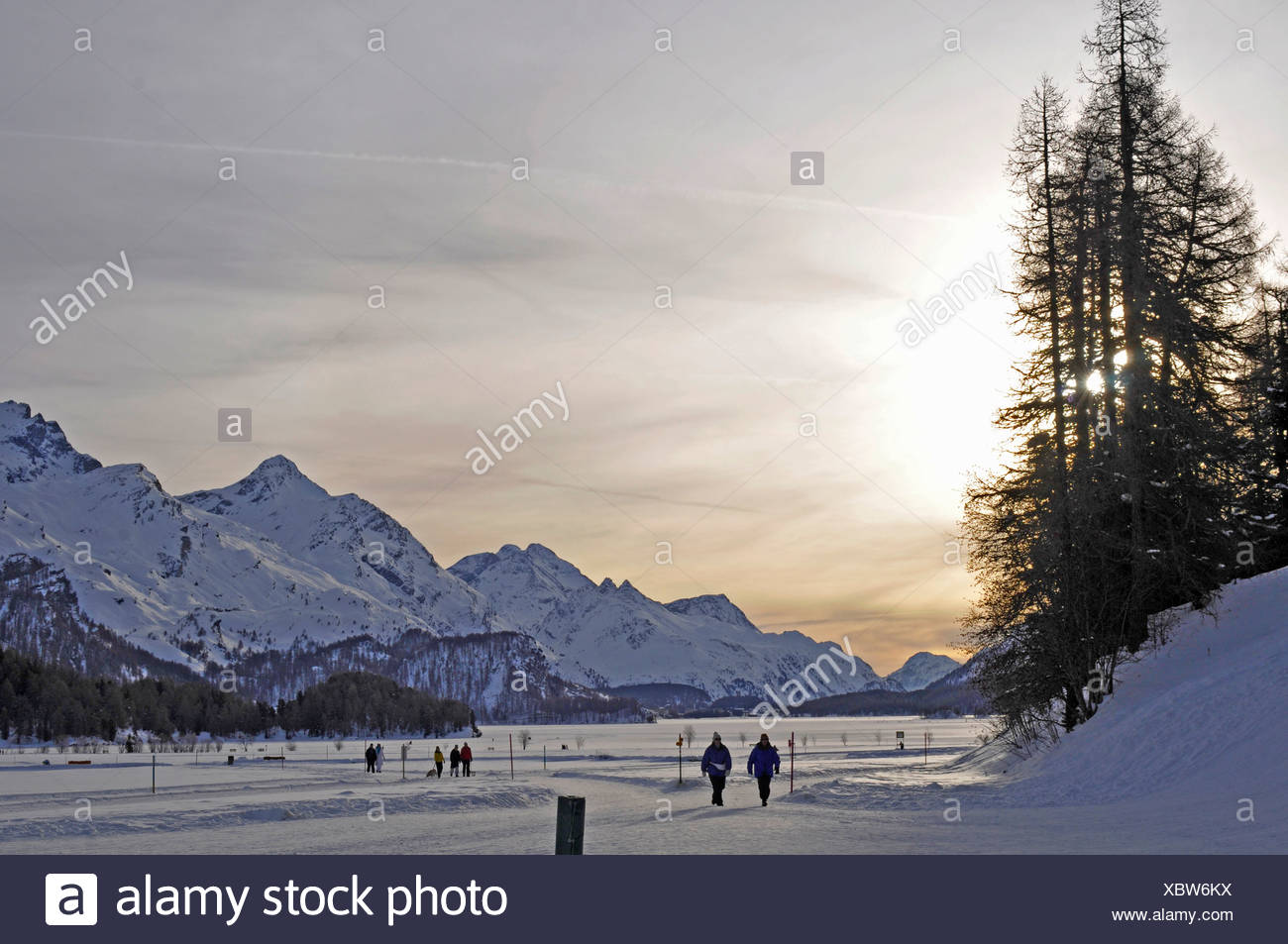 Sils Maria Switzerland Stockfotos und -bilder Kaufen - Alamy