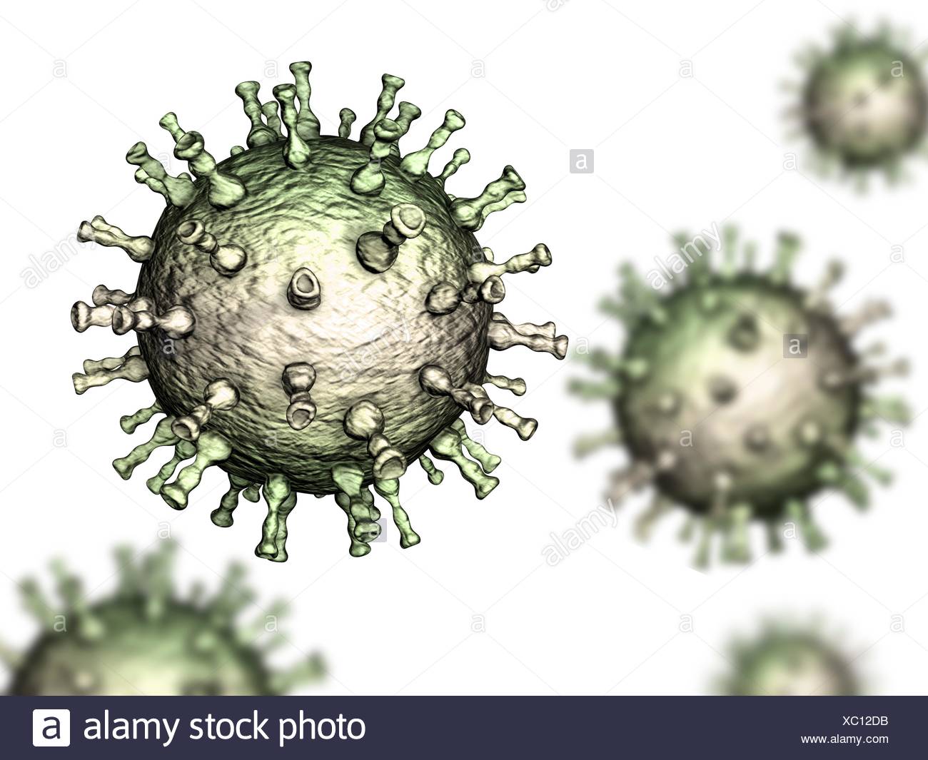 Varizella Zoster Viren Stockfotos und -bilder Kaufen - Alamy