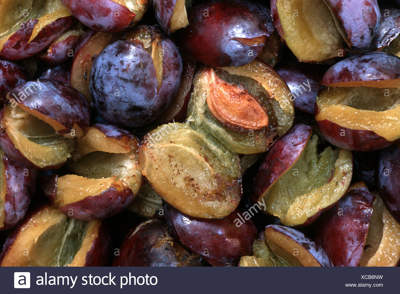 Pflaumenbaum Krankheit Stockfotos & Pflaumenbaum Krankheit Bilder - Alamy