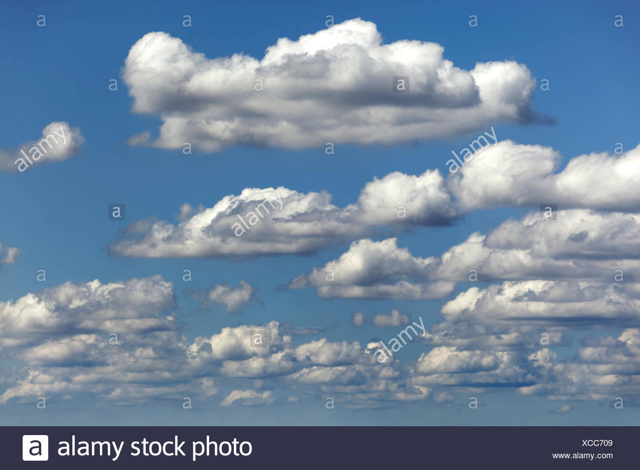 Cumulus Humilis Wolken Stockfotos und -bilder Kaufen - Alamy