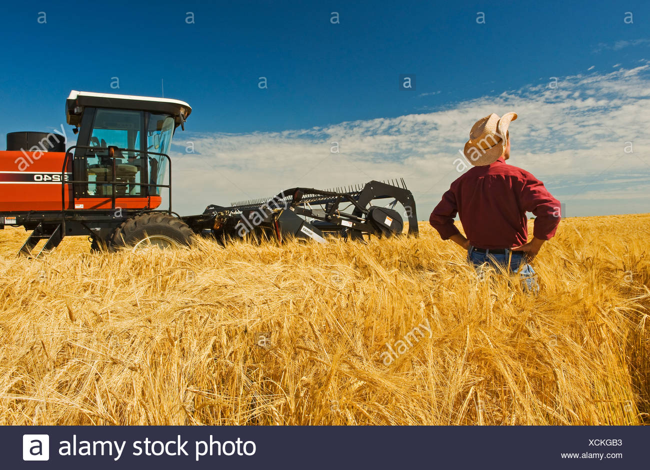 Samen Zu Ernten Stockfotos und -bilder Kaufen - Alamy