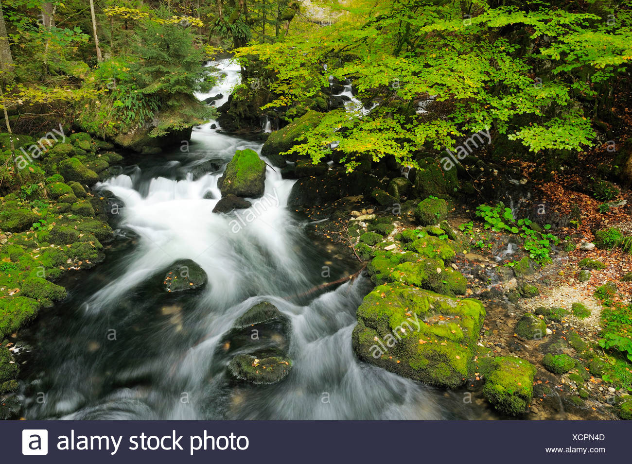 Orbe Switzerland Stockfotos und -bilder Kaufen - Alamy