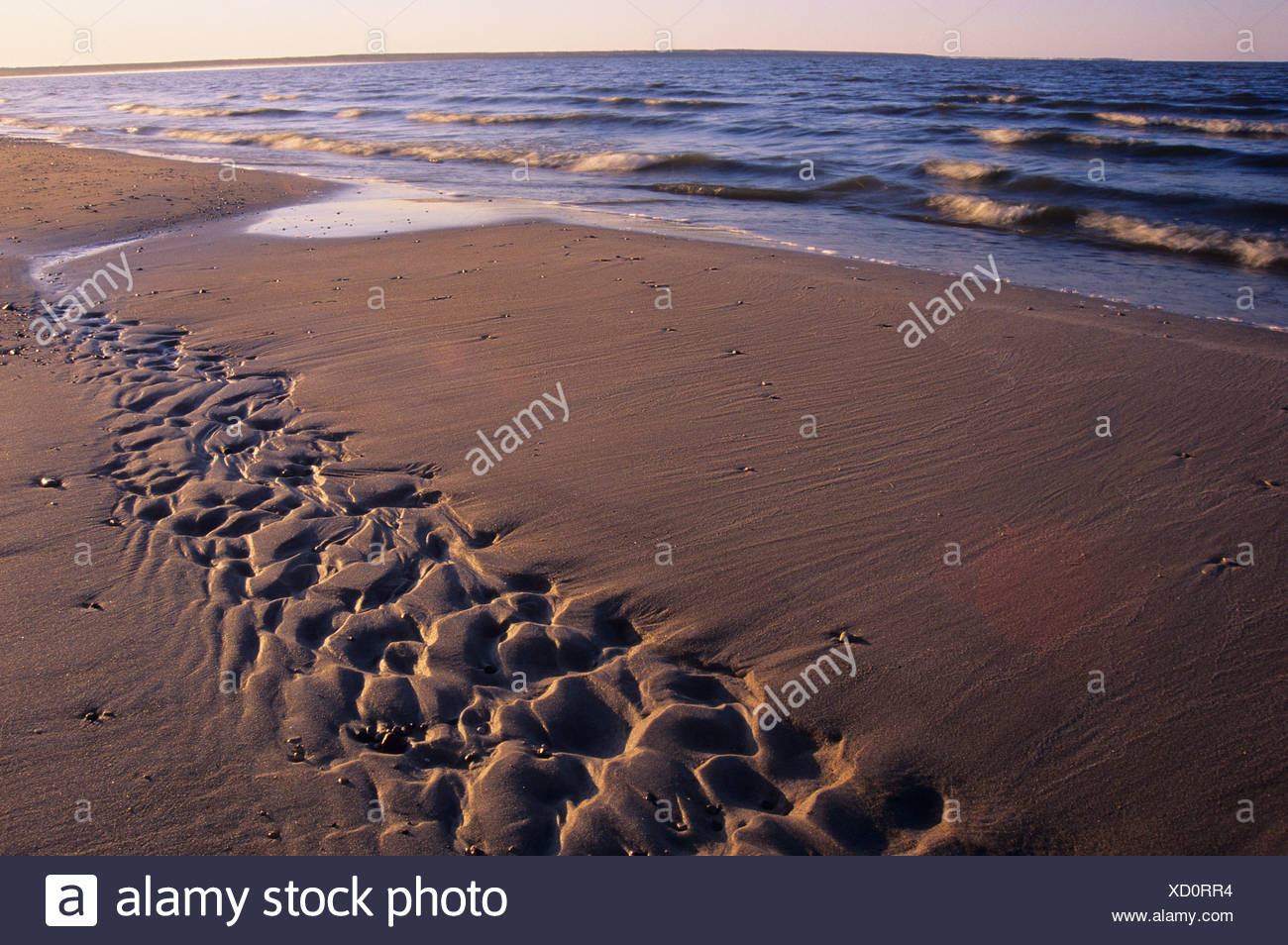 Patricia Beach Provincial Park Stockfotos und -bilder Kaufen - Alamy