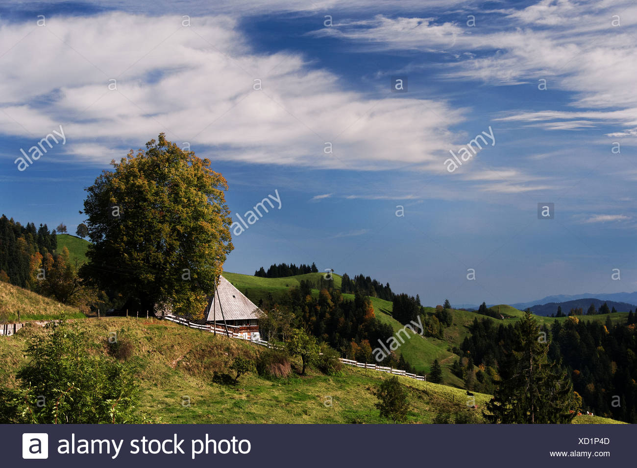 Emmental Hill Scenery Bern Bern Stockfotos und -bilder Kaufen - Alamy