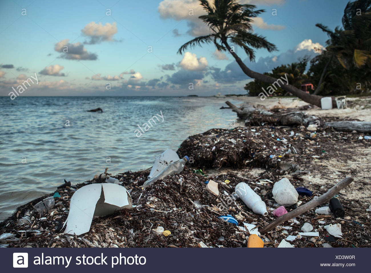 Sea Pollution Caribbean Stockfotos & Sea Pollution Caribbean Bilder - Alamy