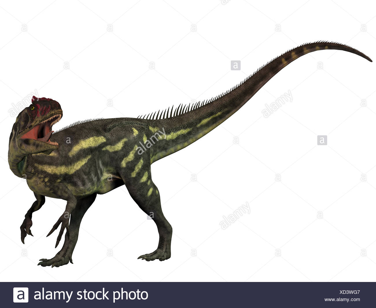 Illustration Of Allosaurus Stockfotos & Illustration Of Allosaurus ...