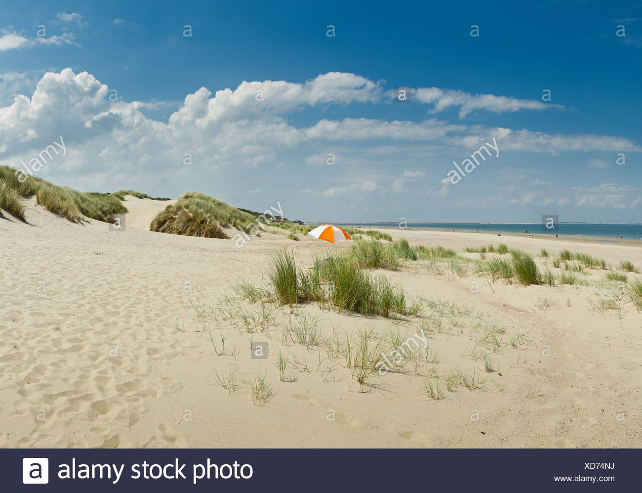 Netherlands Holland Europe Renesse North Stockfotos und -bilder Kaufen ...