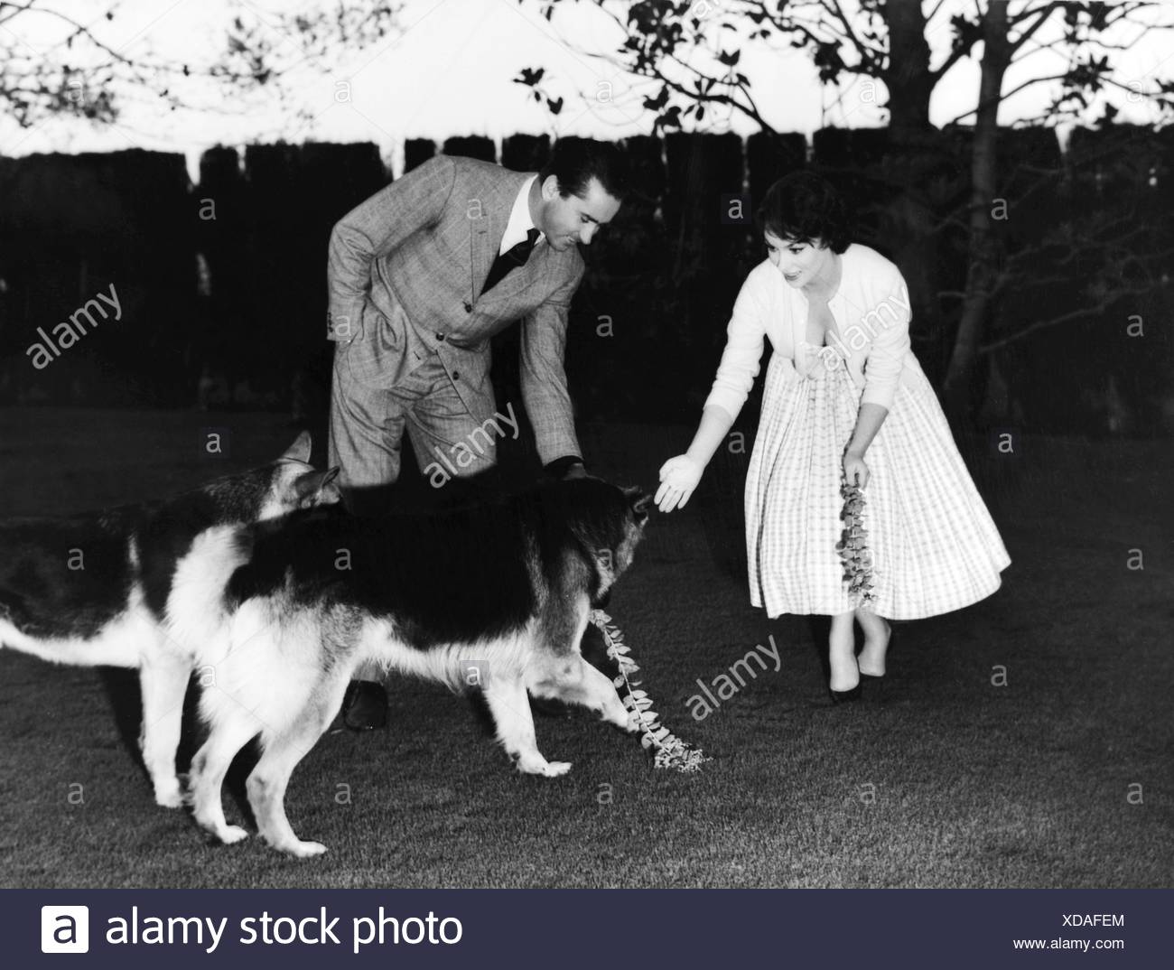 Milko Skofic Gina Lollobrigida Milko Stockfotos und -bilder Kaufen - Alamy