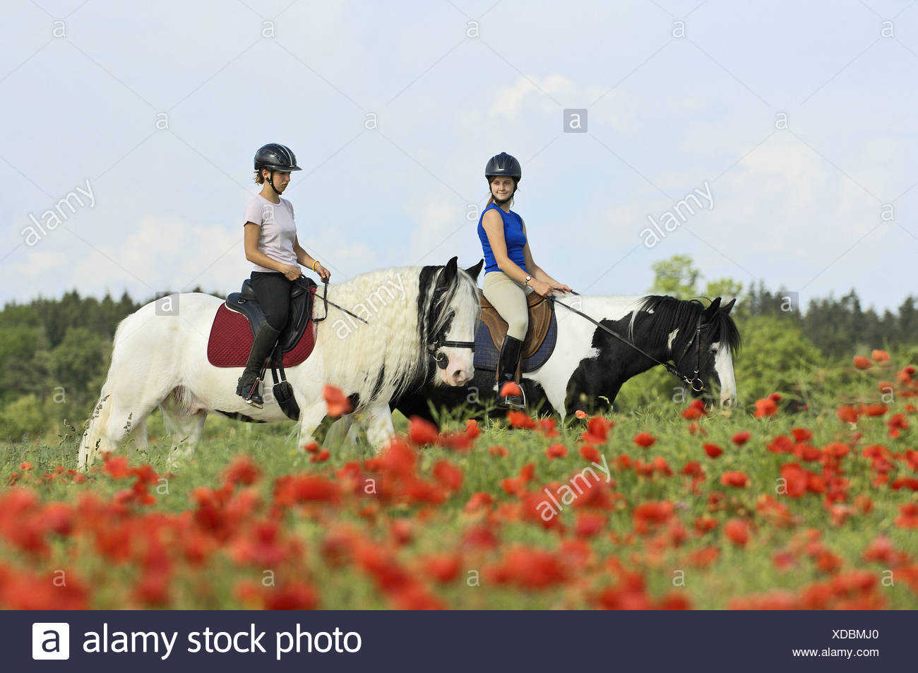 Zwei Zigeuner Auf Einem Pferd Stockfotos und -bilder Kaufen - Alamy