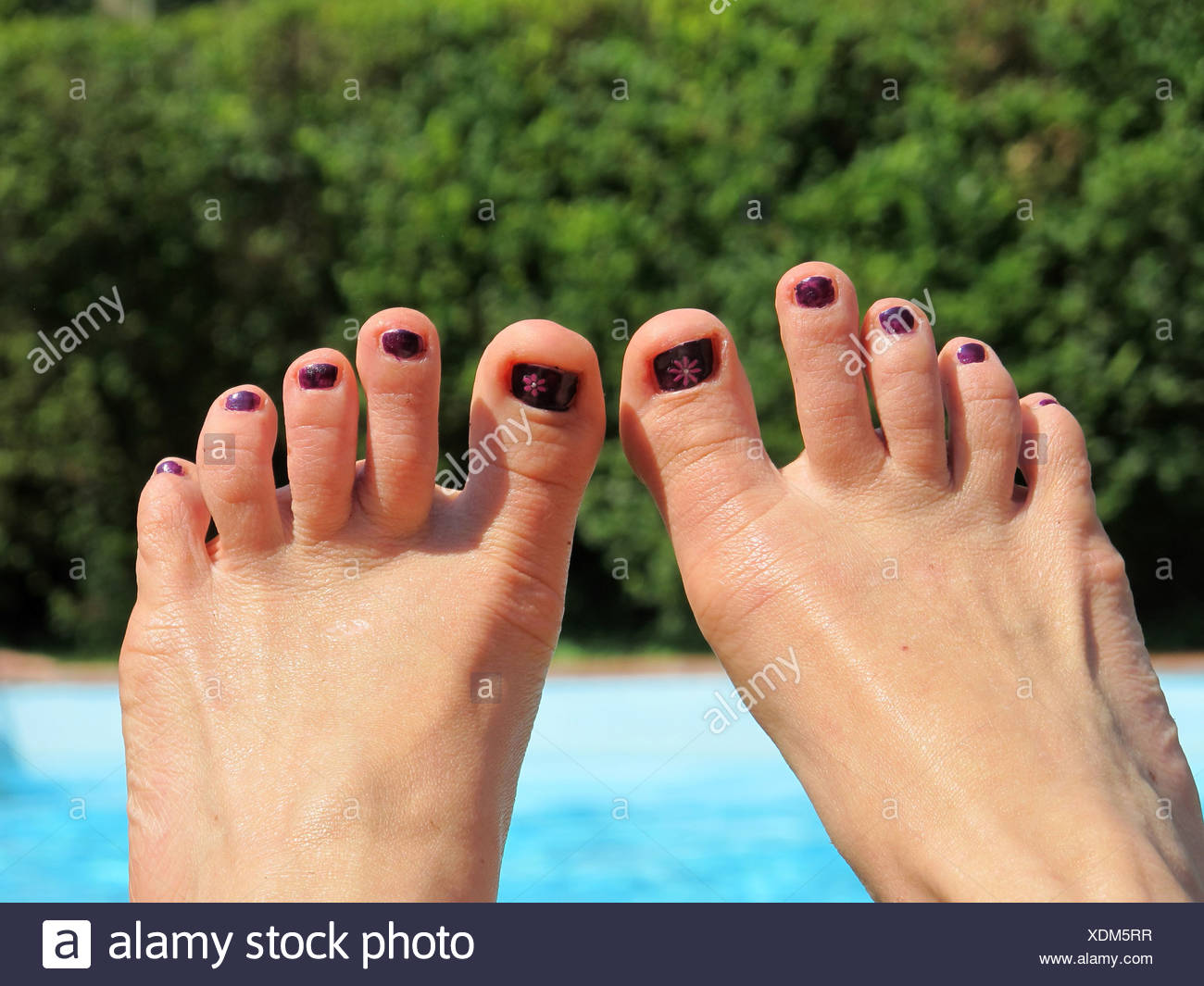 Der Lackierte Nagel Stockfotos und -bilder Kaufen - Alamy