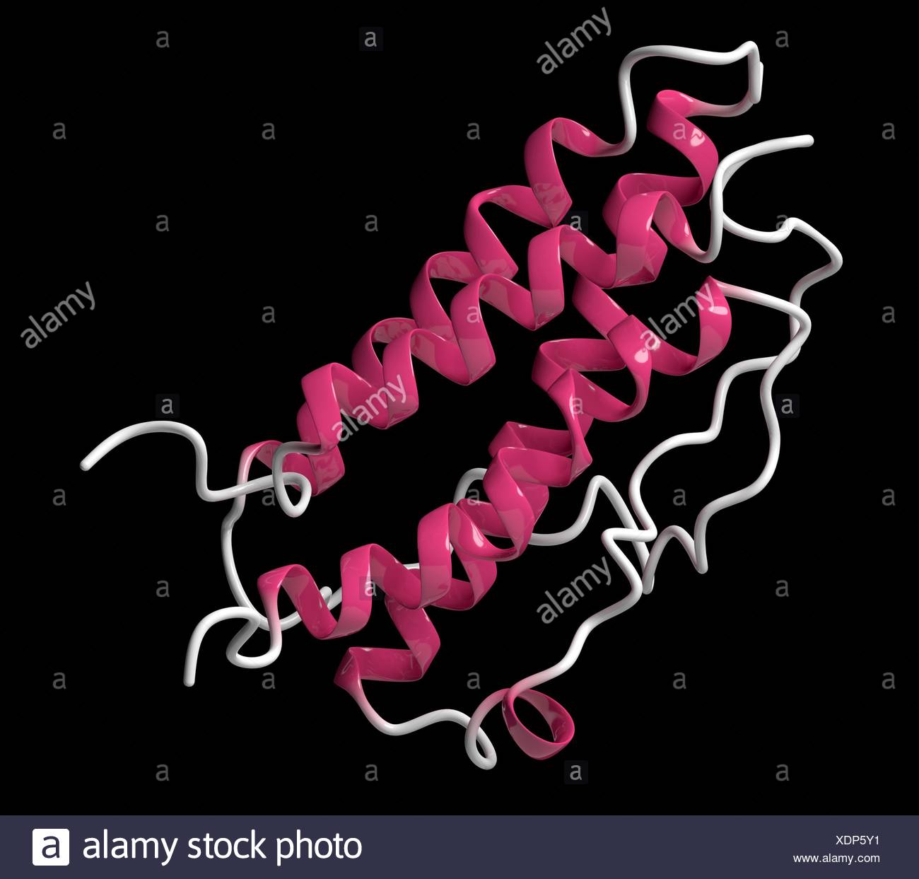 Menschliches Erythropoietin Stockfotos und -bilder Kaufen - Alamy