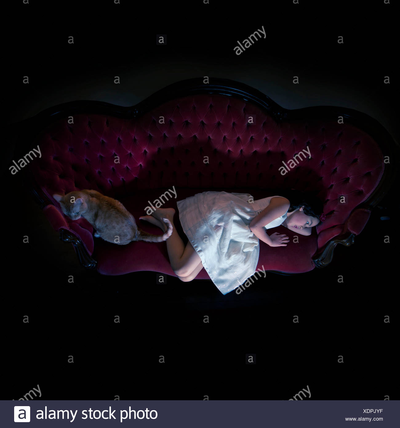 Katze Auf Einem Sofa Stockfotos und -bilder Kaufen - Alamy