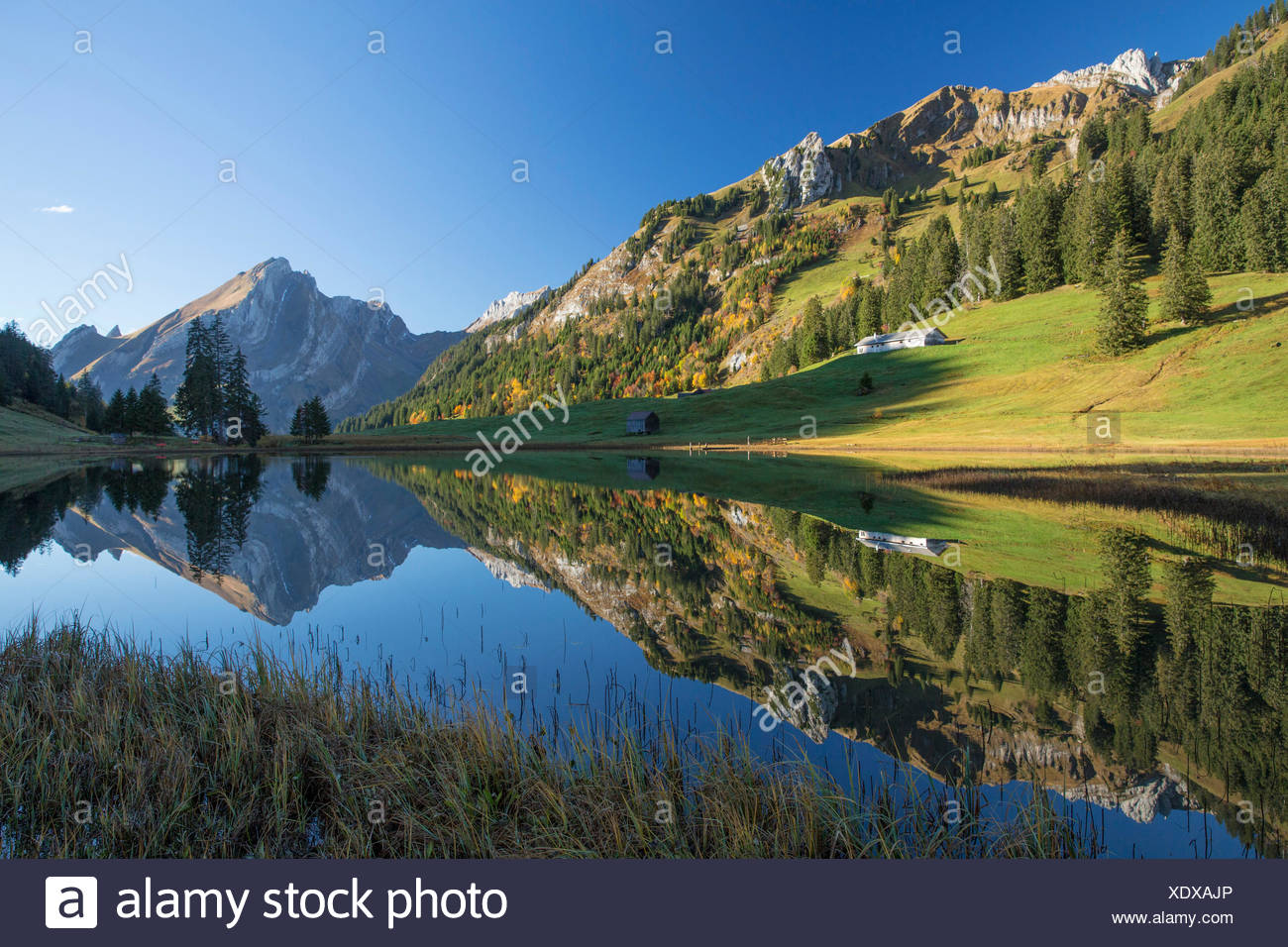 Toggenburg Gräppelensee See Schafberg Berg Berge Bergsee Sg