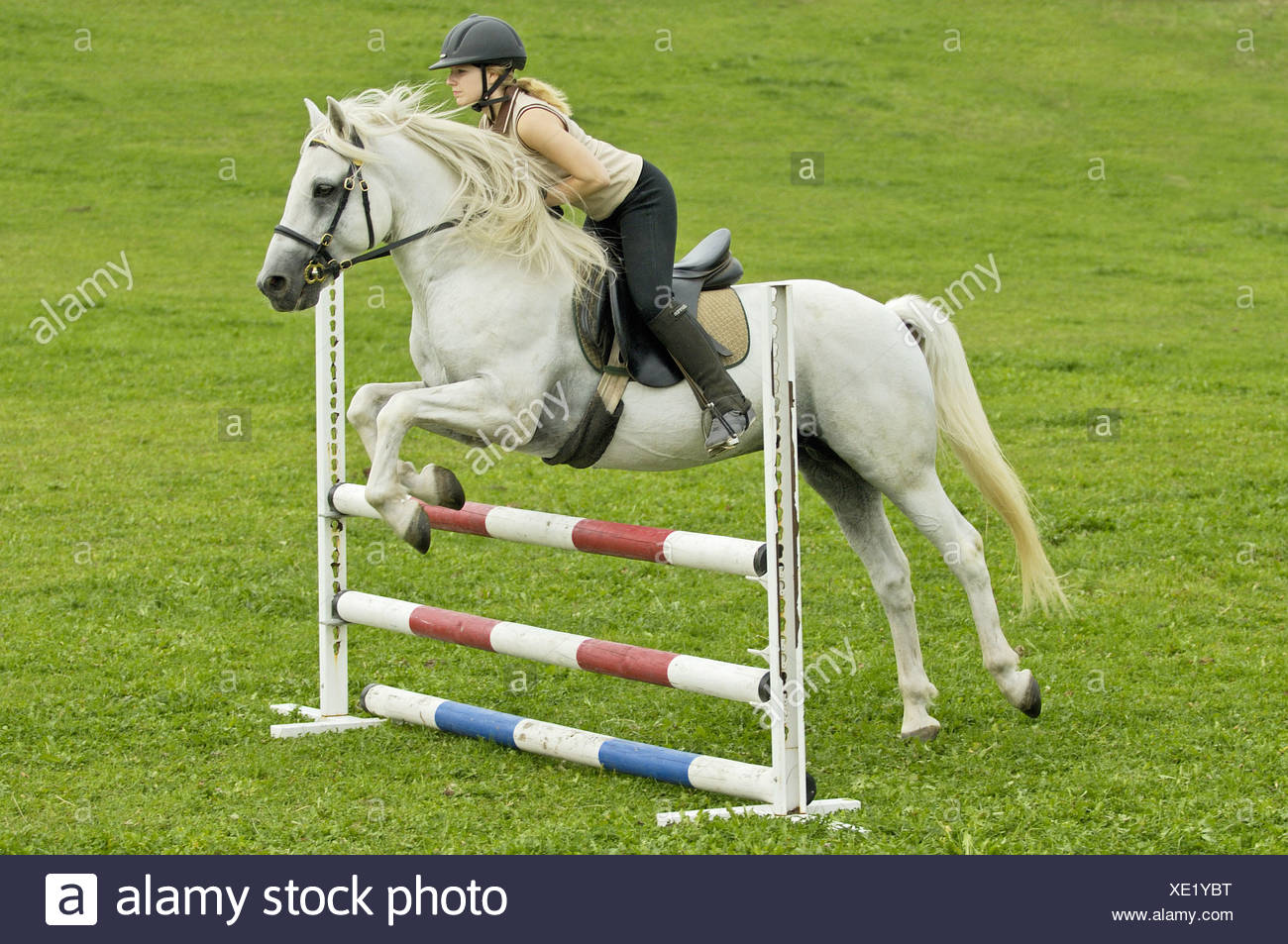 Reiter Reiten Springen Springen Springt Stockfotos & Reiter Reiten ...