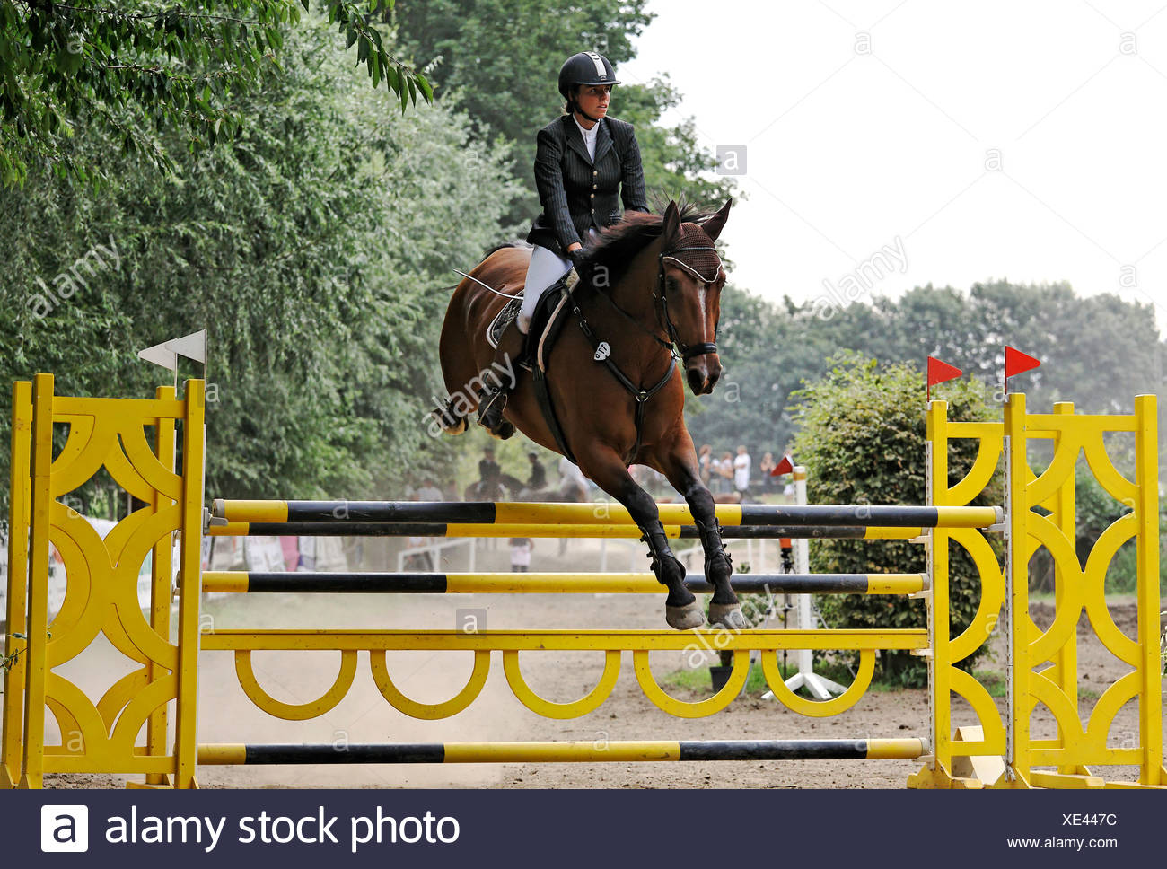 Show Jumping Poles Stockfotos & Show Jumping Poles Bilder - Alamy