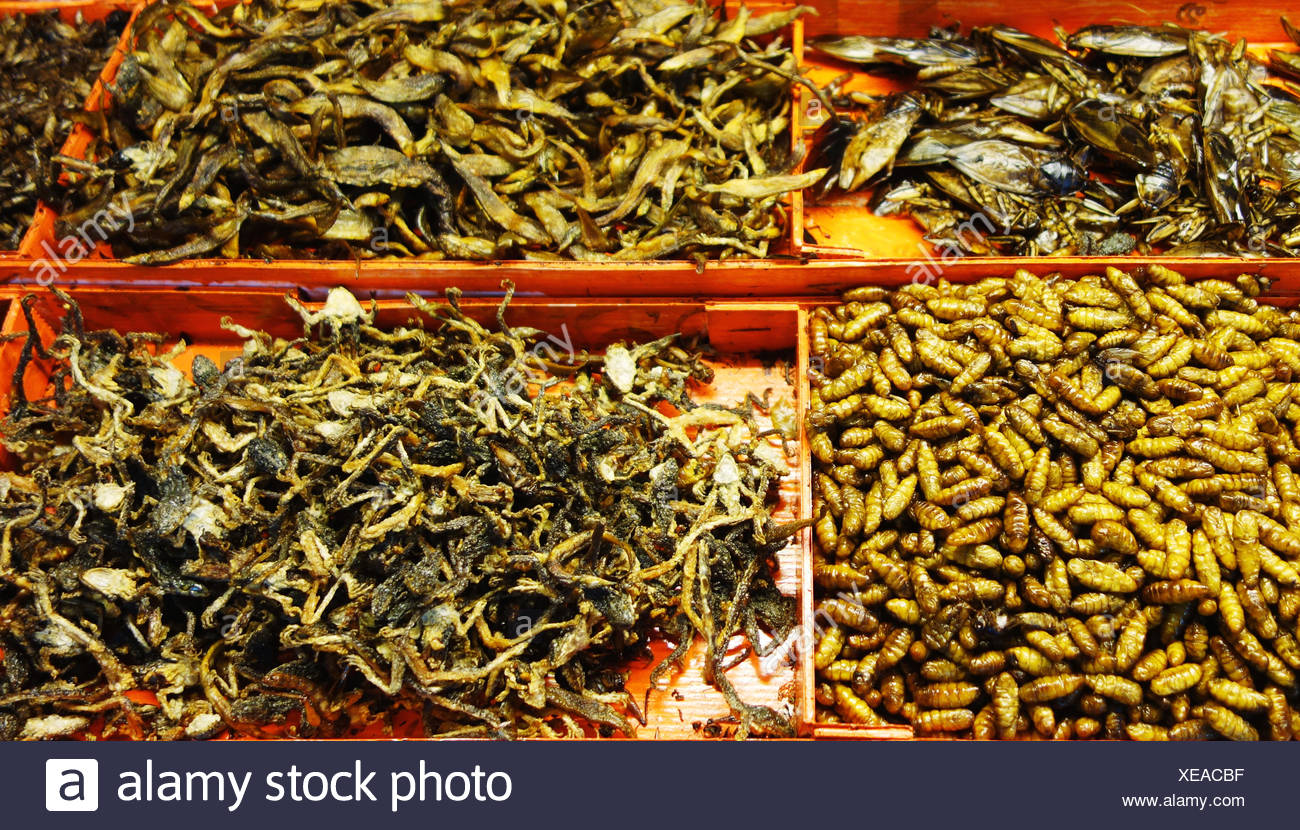 Frittierte Insekten Stockfotos und -bilder Kaufen - Alamy