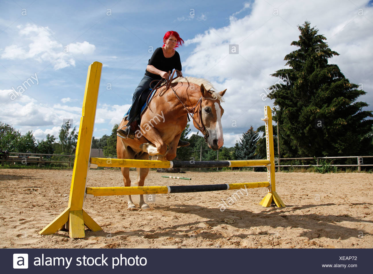Reiter Reiten Springen Springen Springt Stockfotos und -bilder Kaufen ...