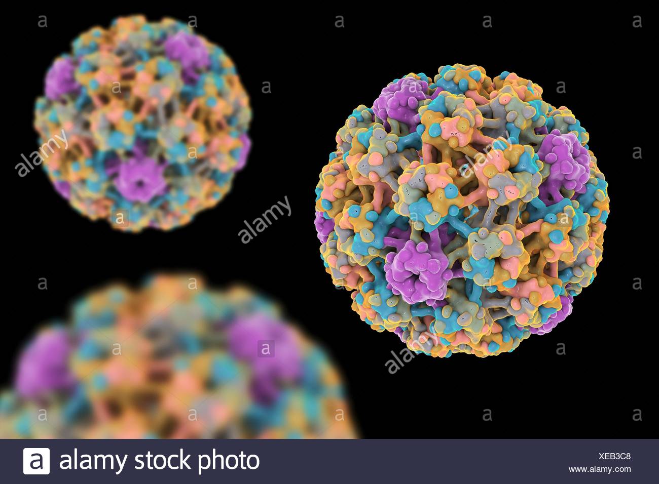 Human Papilloma Virus Hpv Stockfotos und -bilder Kaufen - Alamy