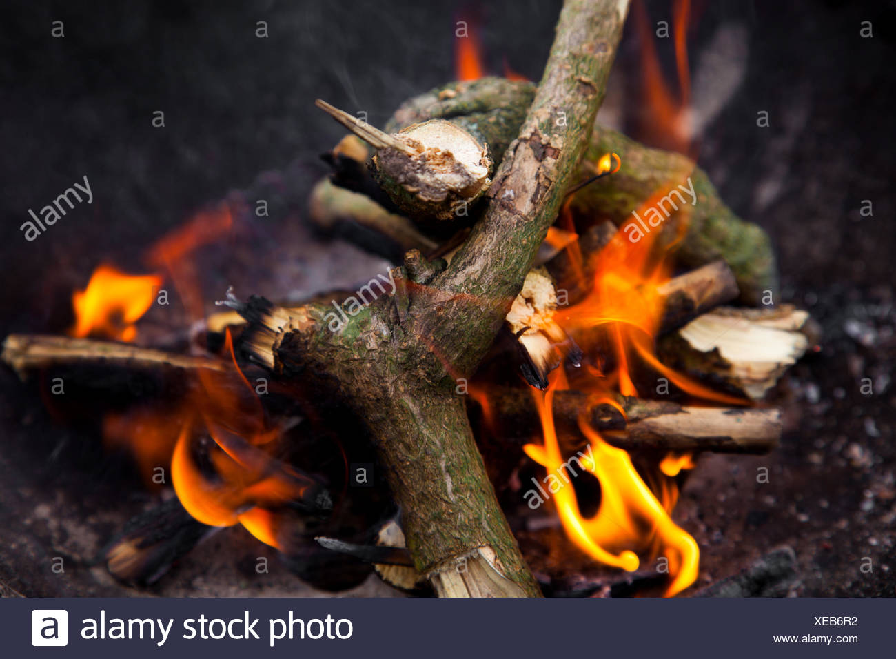 Bonfire Burning Wood Stockfotos & Bonfire Burning Wood Bilder - Alamy