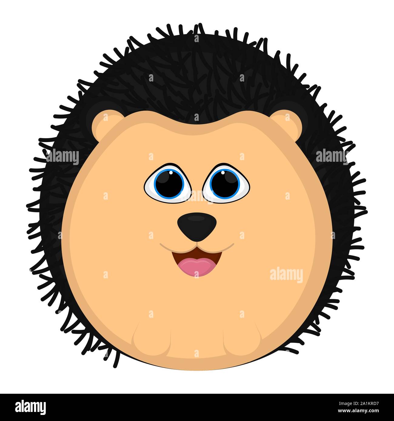 Cara De Cuerpo Espin