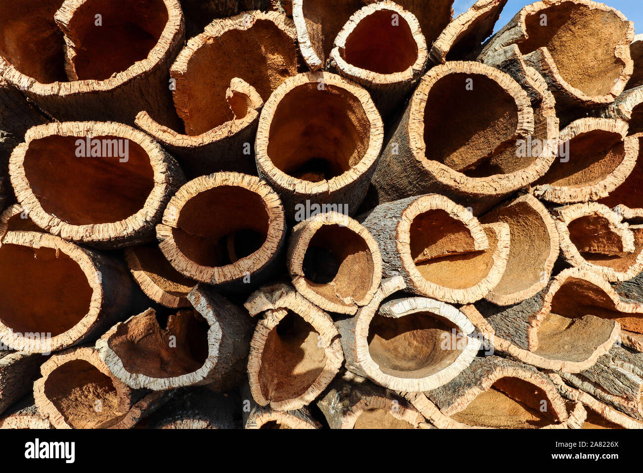 Excoriación fotografías e imágenes de alta resolución - Alamy