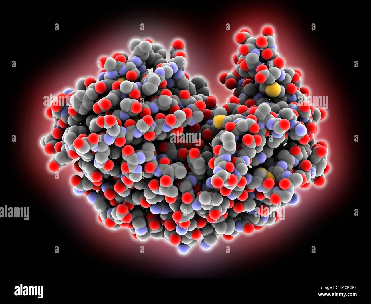 Localizacao Da Pepsina