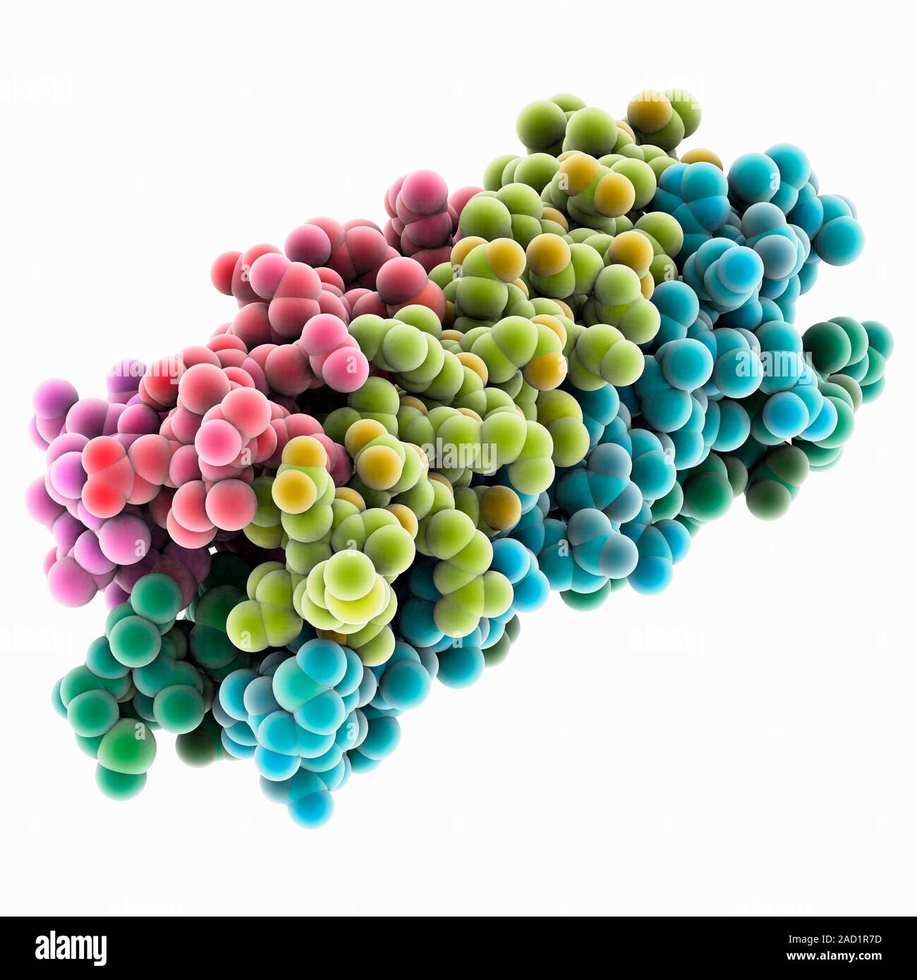 Rotavirus humano enterotoxina. Modelo molecular de la proteína no ...