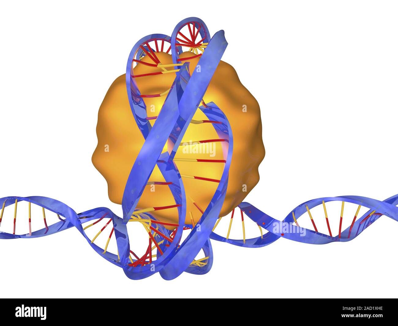 Logotipo De Adn Kauppa
