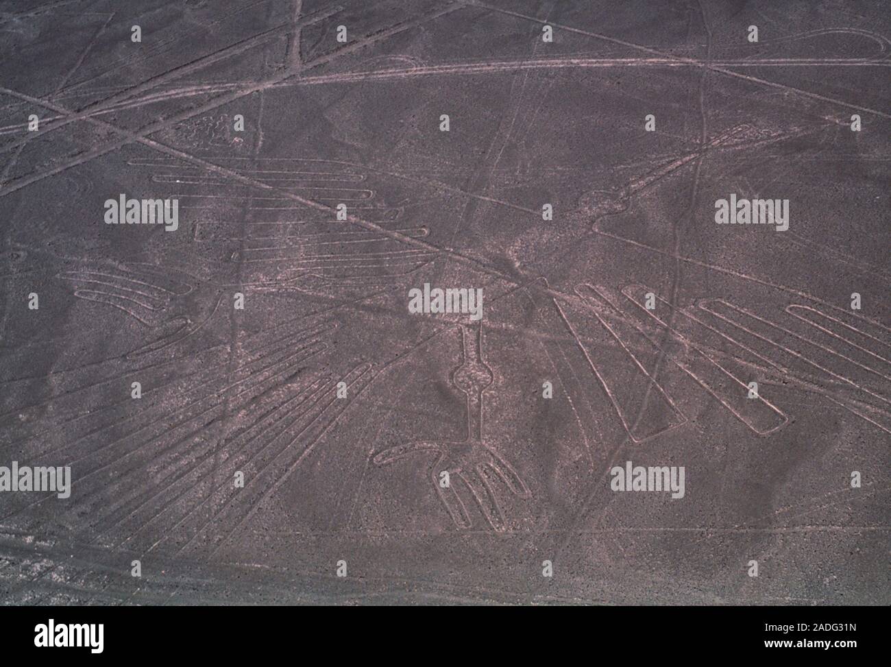 Las Líneas De Nazca Fotografía Aérea De Un Geoglifo O Dibujo