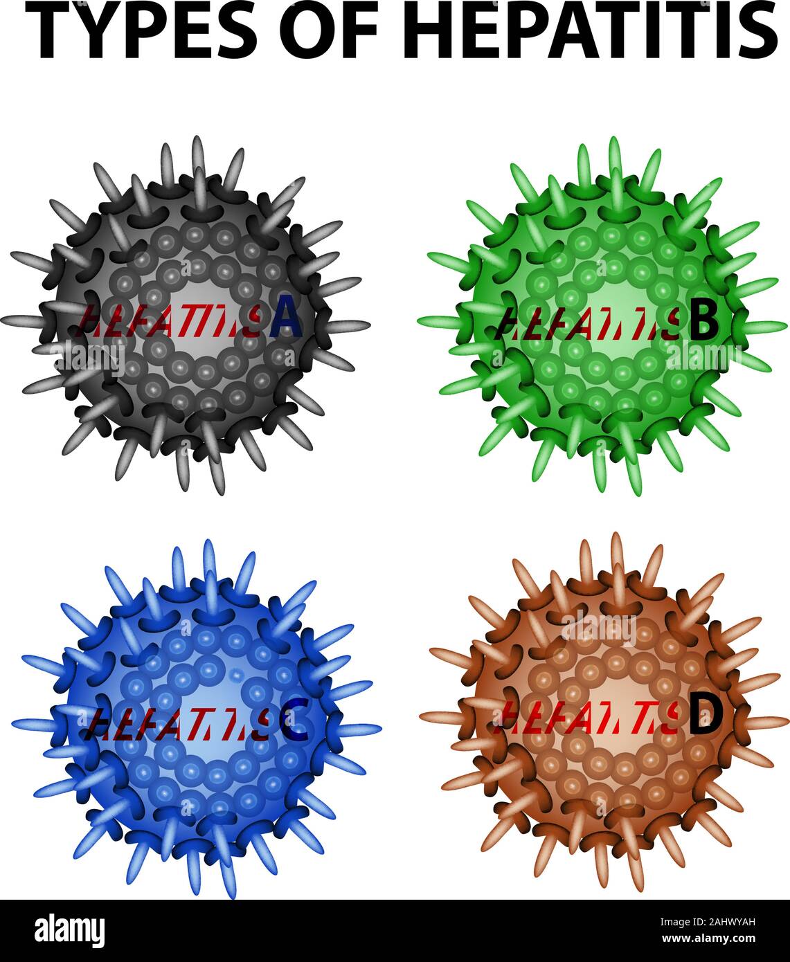 Tipos De Virus De La Hepatitis