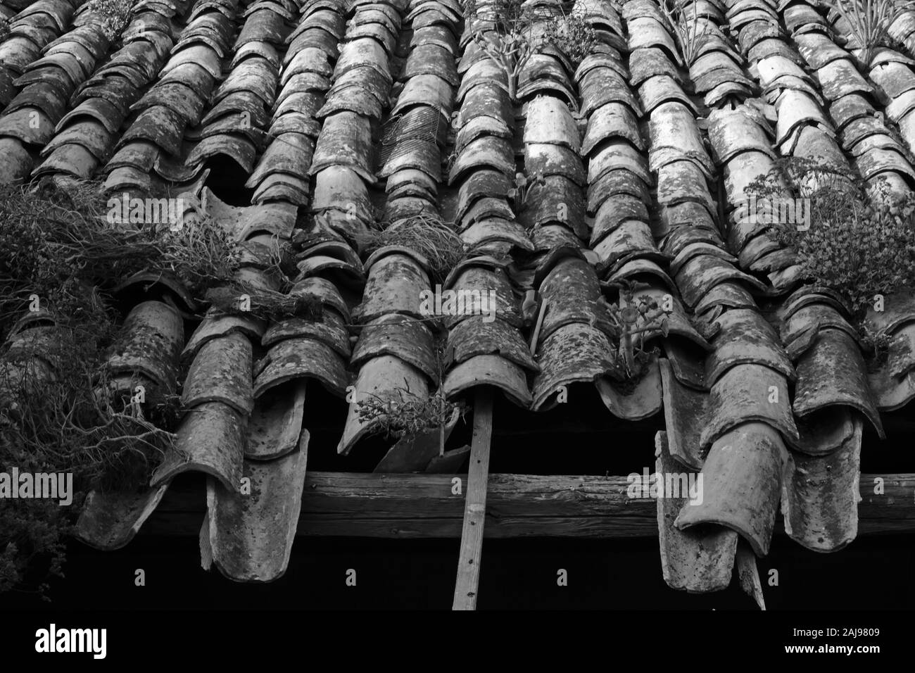 Arquitectura De Tejas De Arcilla Estructural