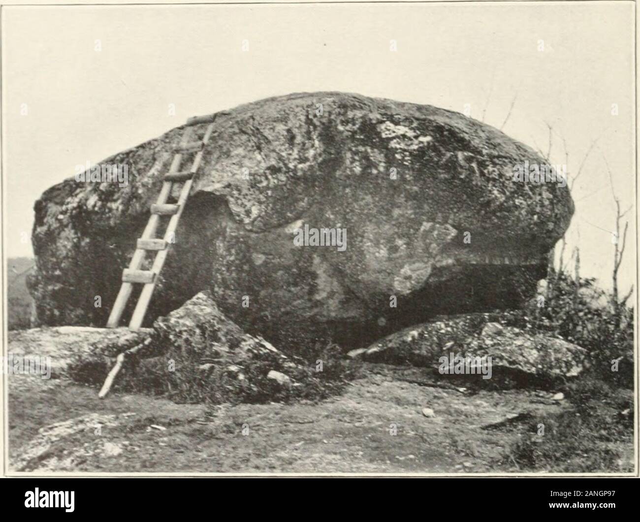 Culitos Fotografías E Imágenes De Alta Resolución Alamy