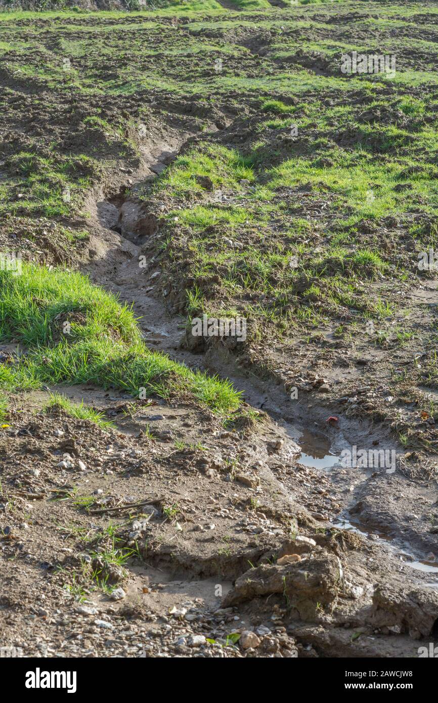 El Canal De Erosión Del Agua Erosión Del Rill Lava Los Canales En El Campo Arable Del Reino