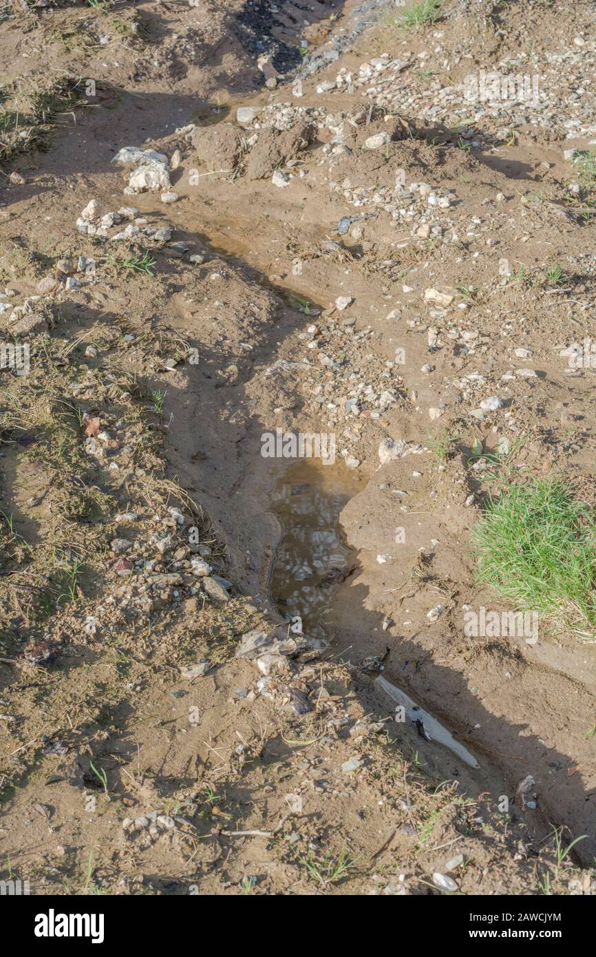 El Canal De Erosión Del Agua Erosión Del Rill Lava Los Canales En El Campo Arable Del Reino