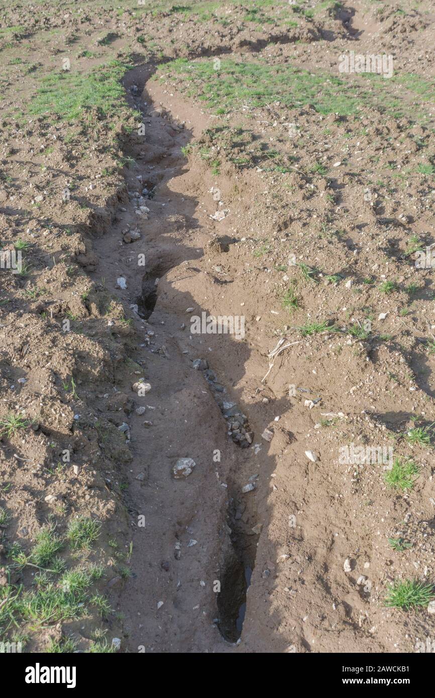 El Canal De Erosión Del Agua Erosión Del Rill Lava Los Canales En El Campo Arable Del Reino