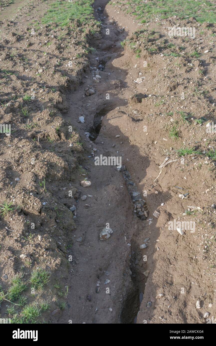 El Canal De Erosión Del Agua Erosión Del Rill Lava Los Canales En El Campo Arable Del Reino