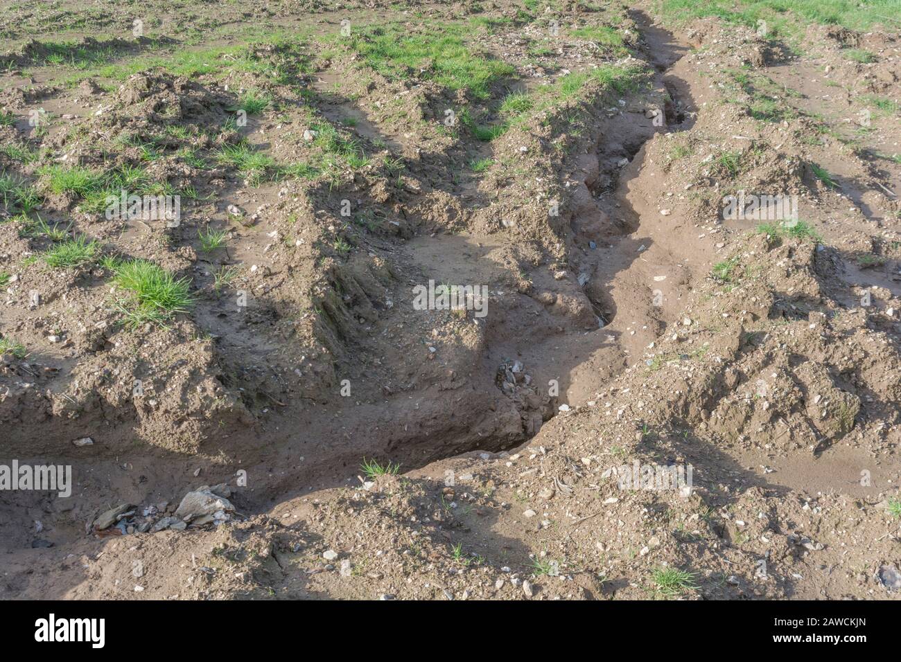 El Canal De Erosión Del Agua Erosión Del Rill Lava Los Canales En El Campo Arable Del Reino