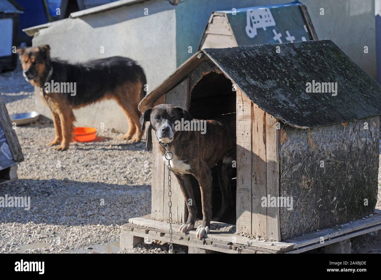 Mapas Del Edificio Del Refugio De Animales.